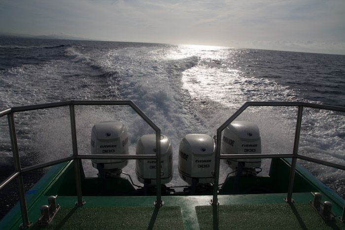 TRANSPORT RHIB CRAFT - ARESA 1300 SENTINEL RHIB